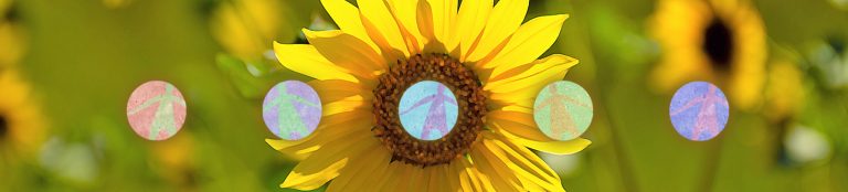 Parish Services, LLC